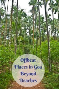 Offbeat Places in Goa Beyond Beaches - My Simple Sojourn