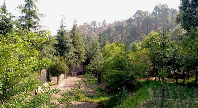 Spiritual Experience at Satkhol Himalayan Ashram - My Simple Sojourn